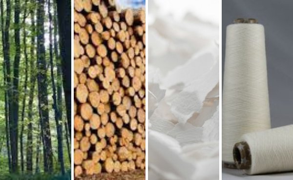 Druids, Beechwood Trees and Oh-So-Soft Fabric – Simple Wishes